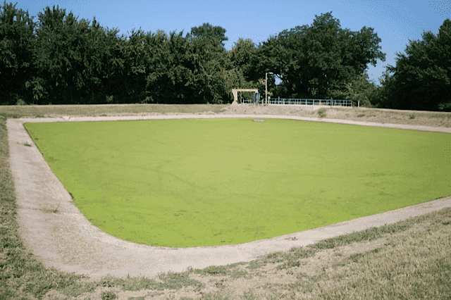 How to Prevent Algae Blooms in Wastewater Lagoons - MAK Water